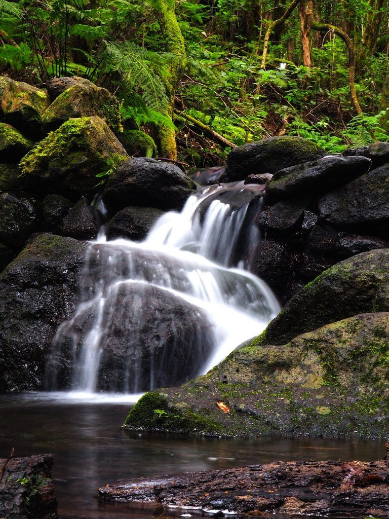 El agua en La Gomera: o como el Cabildo es capaz de estropear algo bien ...